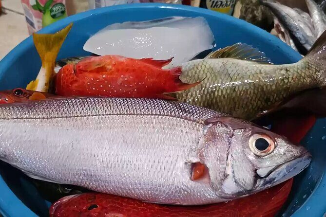 Bali Fishing Charter Private Boat - The Itinerary in Detail