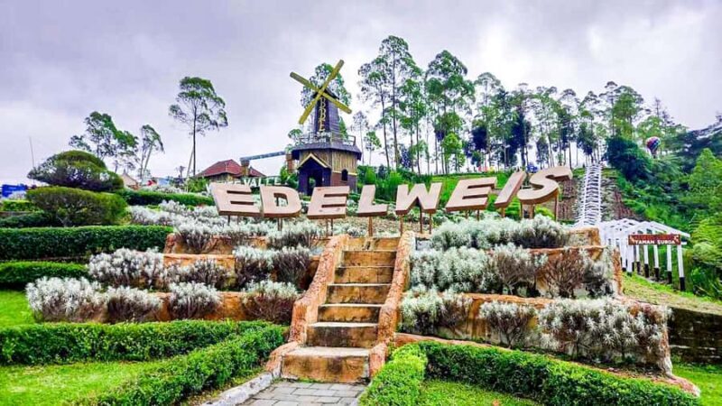 Bali: From Sacred Peaks to the Valley of Eternal Blooms - Key Points