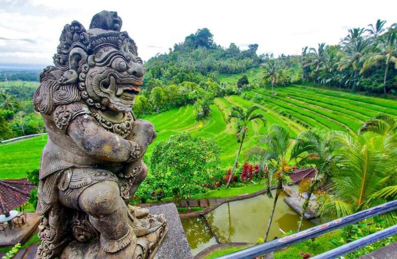 Bali: From Sacred Peaks to the Valley of Eternal Blooms - Exploring Taman Edelweis: A Sanctuary of Blooming Resilience