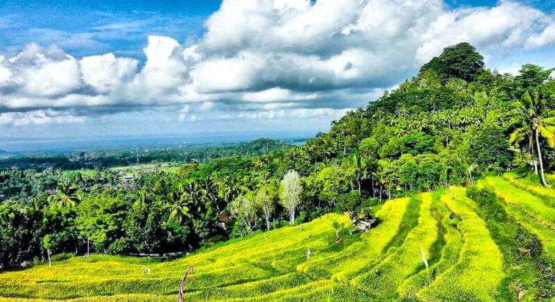 Bali: From Sacred Peaks to the Valley of Eternal Blooms - Discovering Kerta Gosa: An Ancient Hall of Justice