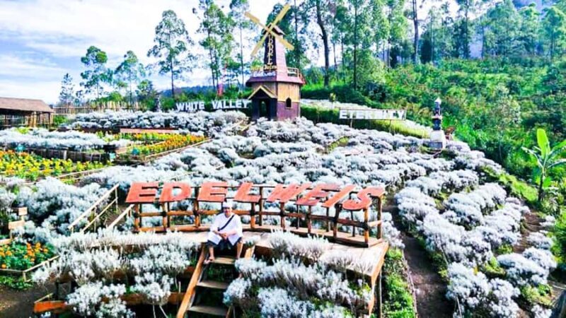 Bali: From Sacred Peaks to the Valley of Eternal Blooms - Reflecting on Bali’s Balance of Faith, Nature, and Justice