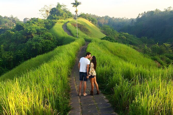 Bali Full-Day Car Charter: All About Ubud Village Trip Experience - Key Points