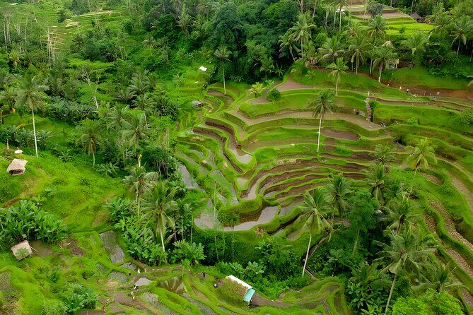 Bali Full-Day Car Charter: All About Ubud Village Trip Experience - FAQ