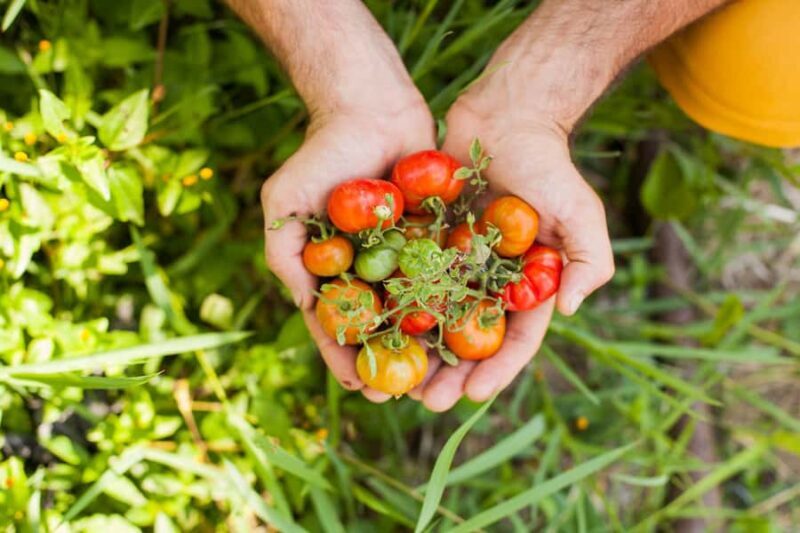 Bali: Full-Day Eat Pray Love Tour with Rice Terraces & Yoga - Additional Experiences and Add-Ons