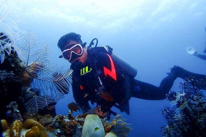 Bali Full Day Experience Scuba Diving Tour at Tulamben - Key Points