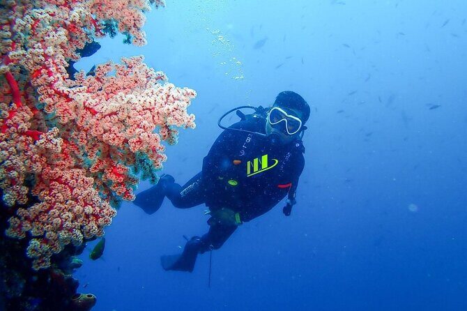 Bali Full Day Experience Scuba Diving Tour at Tulamben - Why this tour offers great value