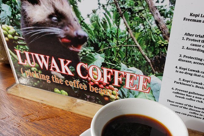 Bali Full Day Holy Water Tour - Frequently Asked Questions