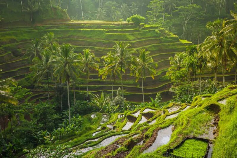 Bali: Full-Day Instagram Highlights Tour - Who Should Consider This Tour?