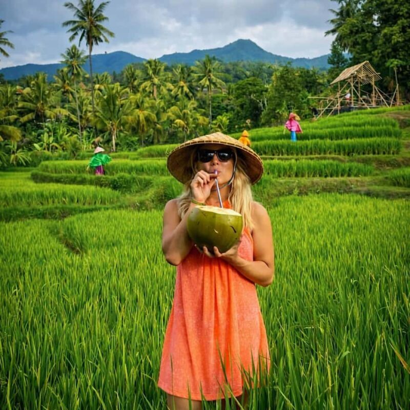 Bali: Full Day North Bali Private Customized Tour - The Practical Side: Transportation, Cost, and Timing