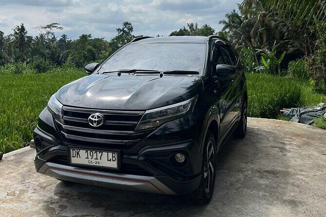 Bali Full Day Private Car Charter with Professional Driver - Practicality and Planning