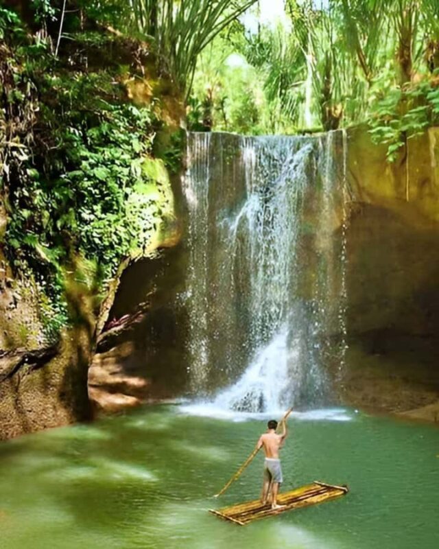 Bali Full-Day Private Customized Tour - The Sum Up