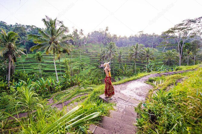 Bali Full-Day Sightseeing Trip with Lunch - An In-Depth Review of the Bali Full-Day Sightseeing Tour