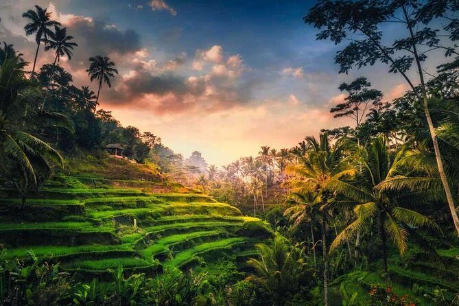 Bali Full-Day Sightseeing Trip with Lunch - FAQ