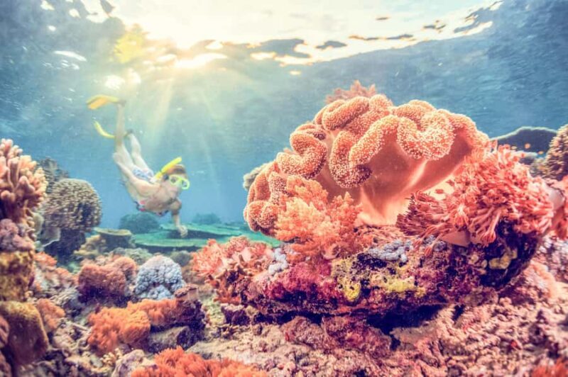 Bali: Full-Day Snorkeling Trip to Nusa Penida & Manta Point - An Honest Look at the Experience