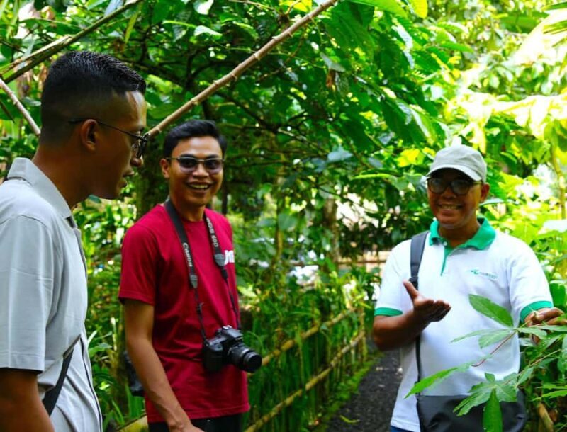 Bali: Full-Day Tour of Bali's Highlights - Practicalities & Tips