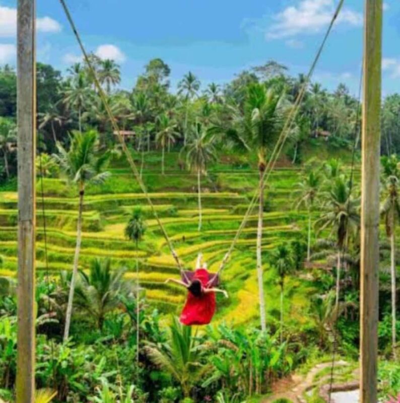 Bali : Full Day Tour With Female Driver - The Sum Up