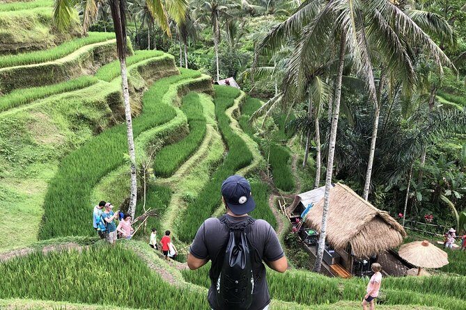 Bali Full Day Tours: Kintamani VOLCANO - Ubud - WATERFALL - TANAH LOT SUNSET - Who Will Love This Tour?