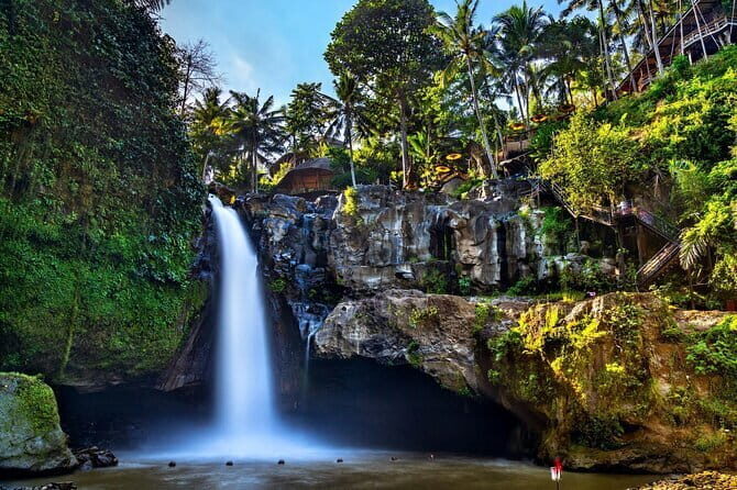 Bali Full-Day Tours : Waterfall and Ubud Destination Trip - Key Points
