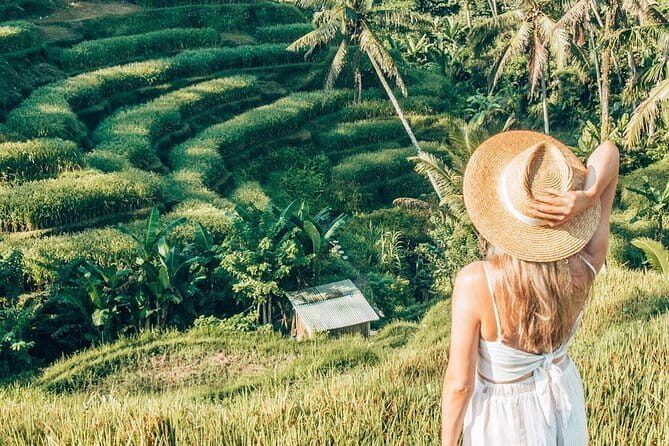 Bali Full-Day Tours : Waterfall and Ubud Destination Trip - Final Words