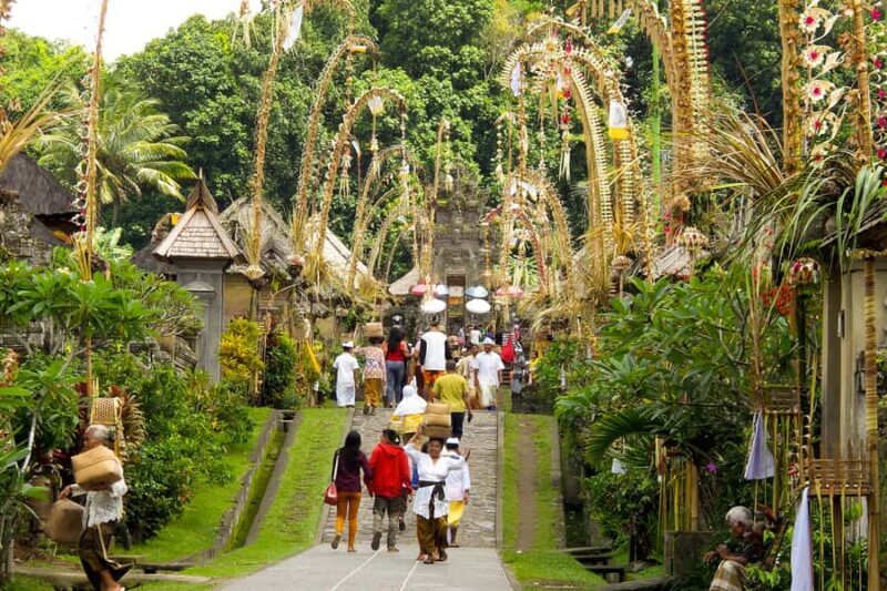 Bali: Full-Day Trip to Penglipuran Village and Bamboo Forest - What Travelers Say