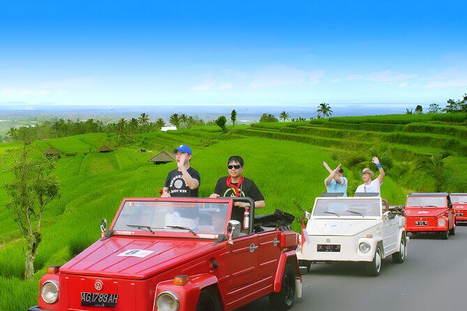 Bali Full-Day UNESCO Rice Terrace Tour by VW Safari Classic Car - Who Should Consider This Tour?