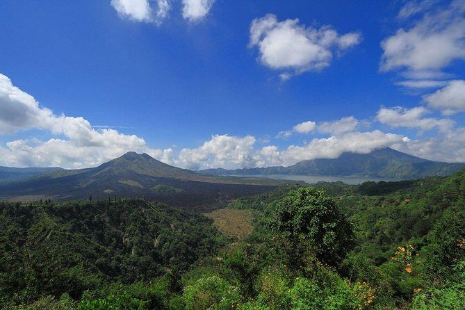 Bali Full-Day Wonderful Sightseeing Tour with Lunch - Analyzing the Value