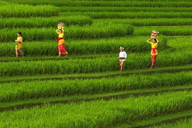 Bali Full-Day Wonderful Sightseeing Tour with Lunch - Final Thoughts