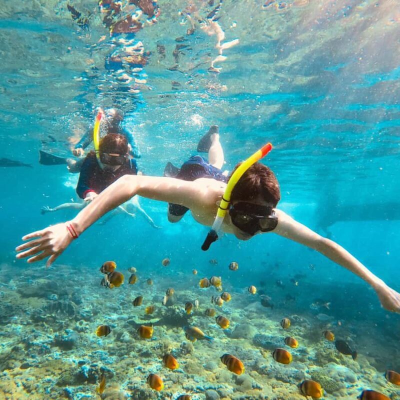 Bali: Full-Day Yacht Snorkel Manta Nusa Penida & Lembongan - Who Should Consider This Tour?