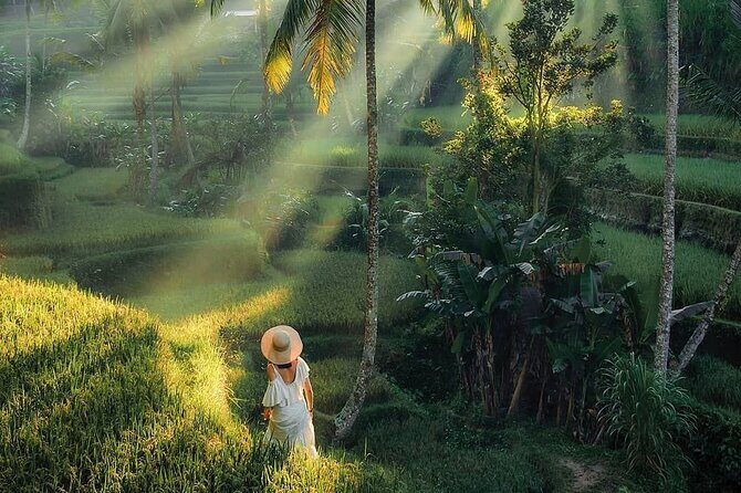 Bali : Fullday Luxury Cruise Experience From Benoa Port - A Detailed Look at the Full-Day Bali Tour