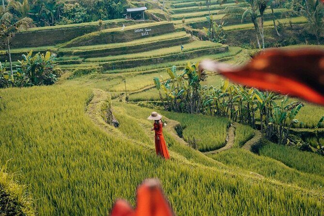 Bali : Fullday Luxury Cruise Experience From Benoa Port - Who Will Love This Tour?