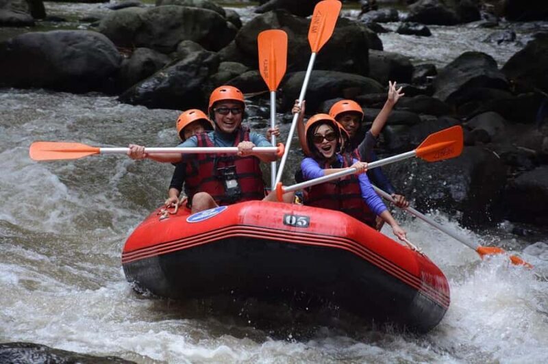 Bali: Get Wet, Get Wild  Join the Best Rafting Trip Around! - An Overview of the Experience