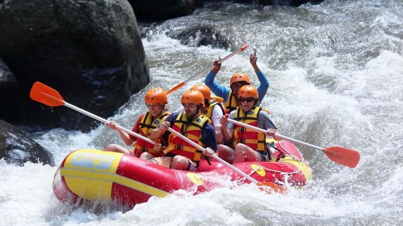 Bali: Get Wet, Get Wild  Join the Best Rafting Trip Around! - What Makes This Tour Stand Out?