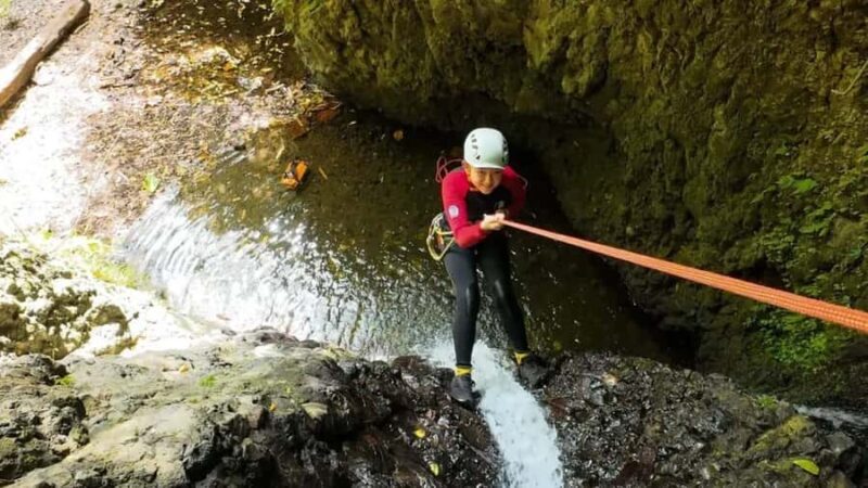 Bali: Gitgit Waterfall Canyoning Expedition with Lunch - The Flying Fox Finale