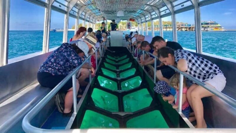 Bali: Glass Bottom Boat & Turtle Conservation Tour - What to expect from the boat experience