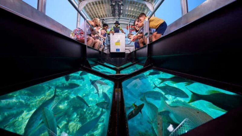 Bali: Glass Bottom Boat & Turtle Conservation Tour - Final remarks