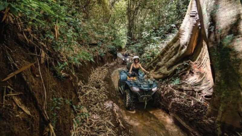Bali: Gorilla Cave ATV and Lazy River Tubing & Cretya Sunset - Authentic Comments from Travelers