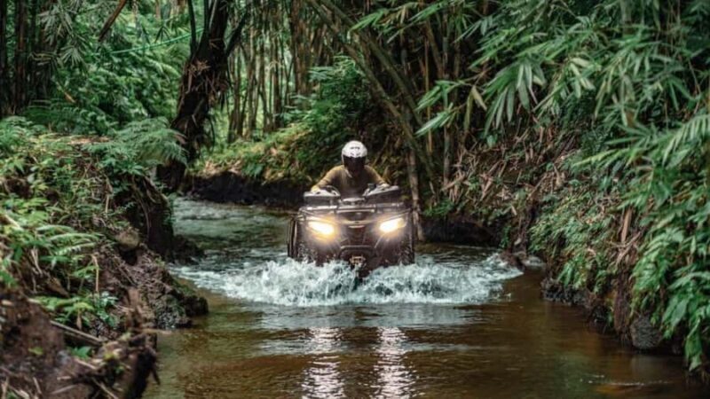 Bali: Gorilla Cave ATV and Lazy River Tubing & Cretya Sunset - The Final Verdict