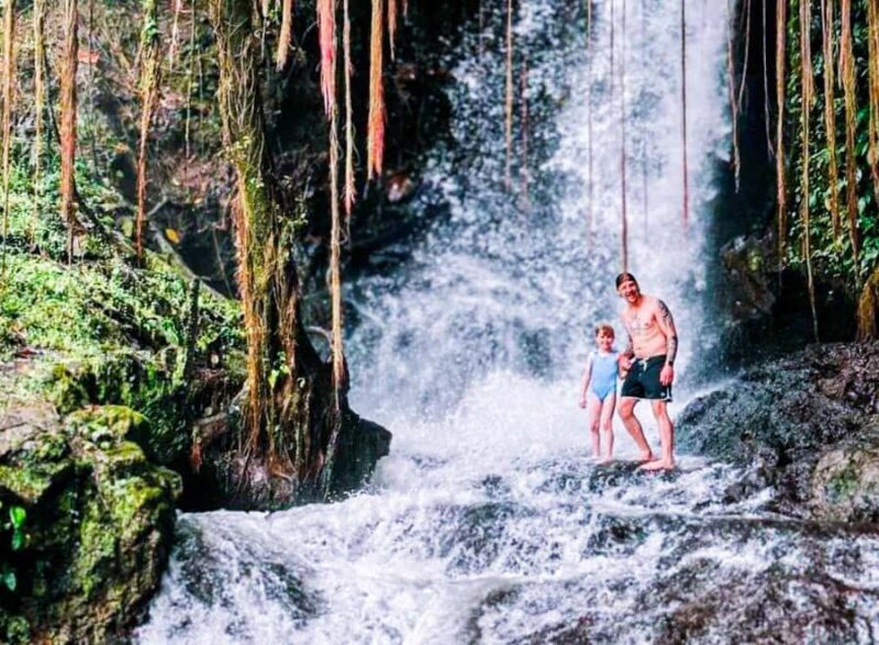 Bali: Graceful Art, Sacred Forest, Serenity and Lotus Bloom - Key Points