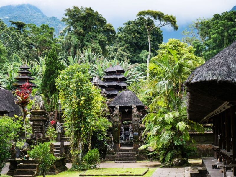 Bali: Green and Heritage West Trip Private Tour, Luxury Car - The Value of a Private, Guided Experience