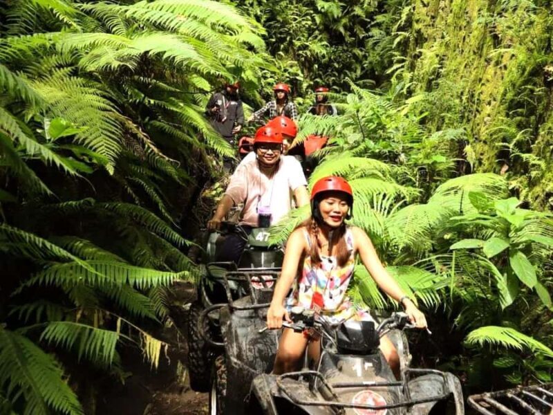 Bali: Guided ATV Ride Through Jungle and Barong Cave - The Sum Up