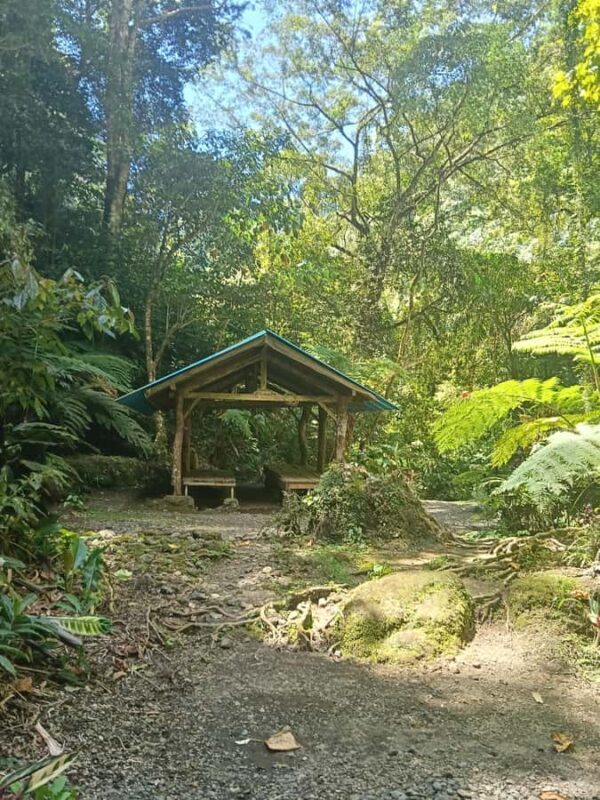 Bali: Guided Hike to 6 Hidden Waterfalls with Picnic Lunch - Exploring Bali’s Hidden Waterfalls: A Guided Hike to Serenity