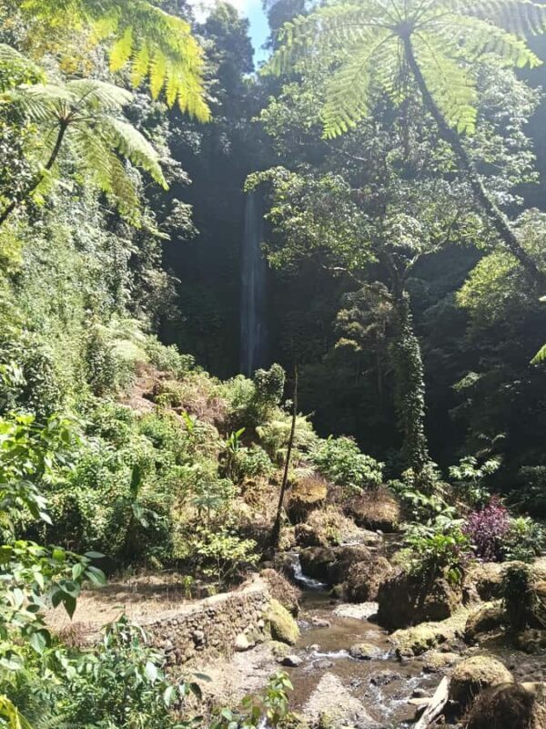 Bali: Guided Hike to 6 Hidden Waterfalls with Picnic Lunch - Who Will Love This Tour?