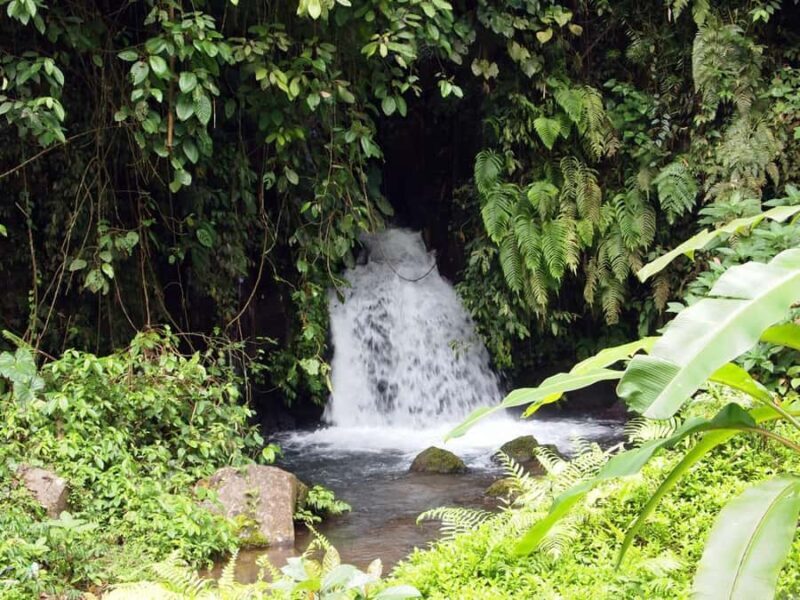 Bali: Gunung Kawi Temple & Pakerisan UNESCO Guided Tour - How This Tour is a Great Fit