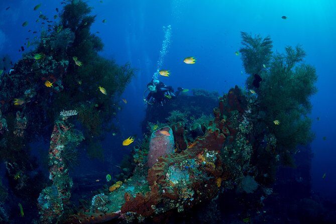 Bali Hai - PADI Advance Open Water Course in Bali - Logistics and Practicalities