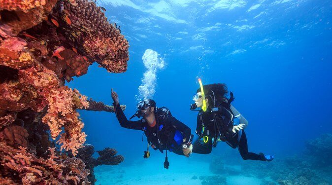 Bali Hai - PADI Advance Open Water Course in Lembongan - What To Expect During the Two Days