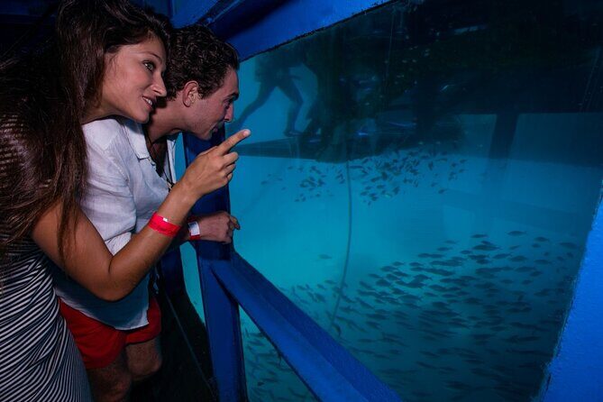 Bali Hai - Reef Cruise - Final Thoughts