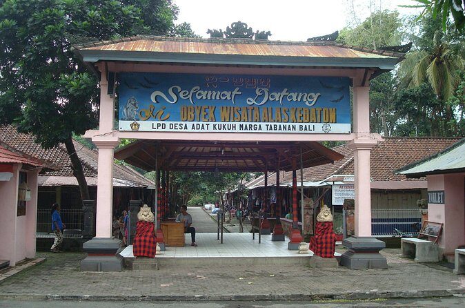 Bali Half Day Cultural and Nature - What Travelers Say and Why It Matters