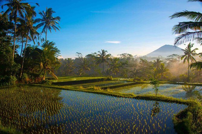 Bali Half Day Photography Tour - Introduction: Capturing Bali’s Spirit in Four Hours