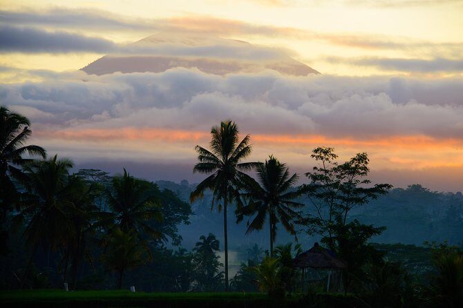 Bali Half Day Photography Tour - Analyzing the Price and Value