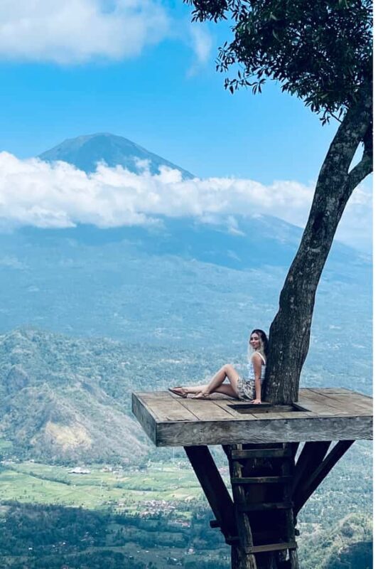 Bali: Half-Day Private Tour with a trusted Female Driver - Value for Money and Considerations